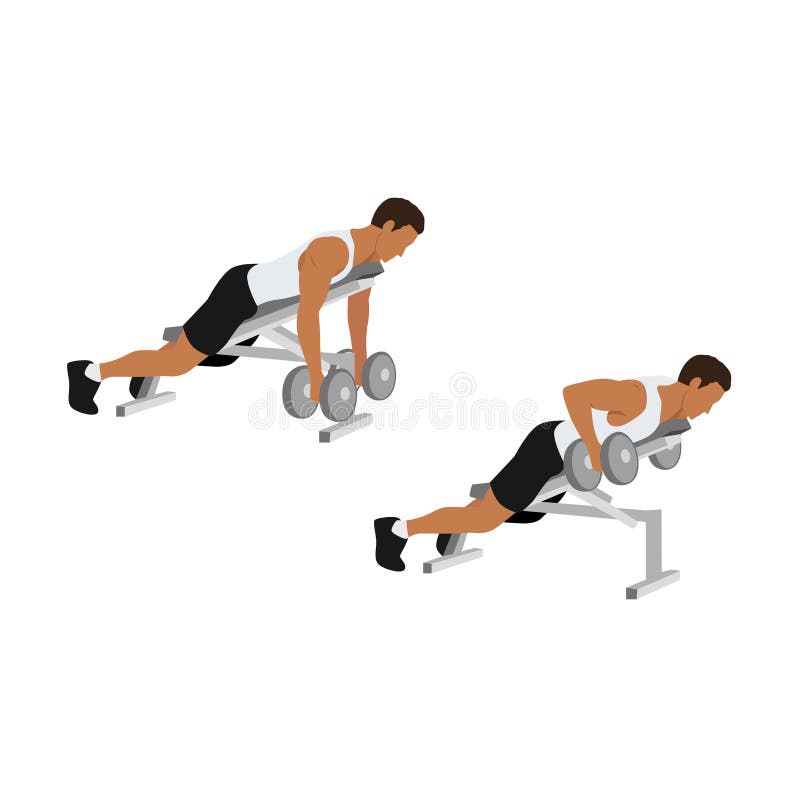Man Character Doing Dumbbell Incline Bench Rows Stock Illustration ...