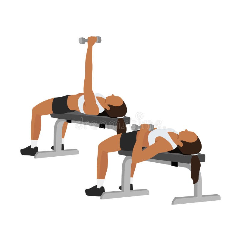Chest Press Stock Illustrations – 1,057 Chest Press Stock Illustrations ...