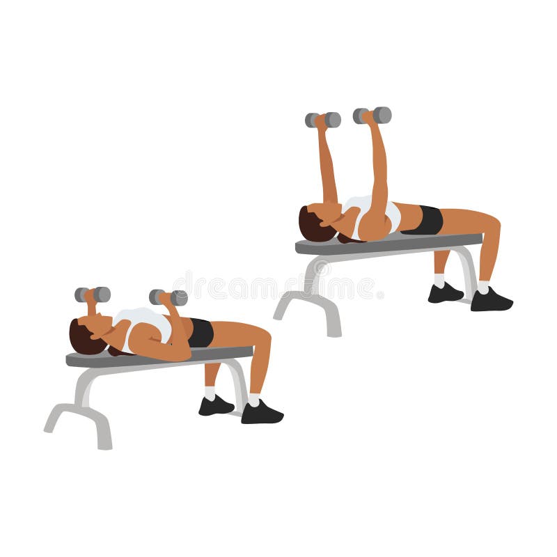 Woman Doing Dumbbell Flat Bench Press Exercise. Stock Vector ...