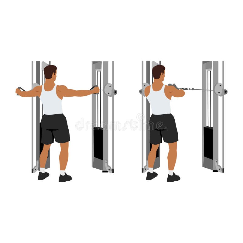 Chest Fly Machine Stock Illustrations – 19 Chest Fly Machine Stock ...