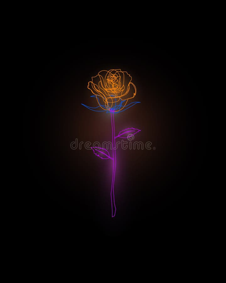 Orange Rose Illustration that Expresses Romance, Energy, Joy and ...