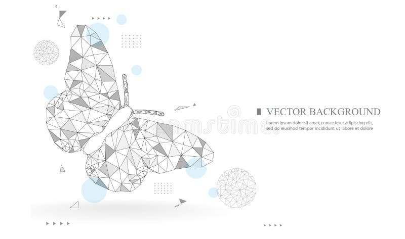 Vector Abstract Butterfly Polygon Shape.white Vector Background Stock ...