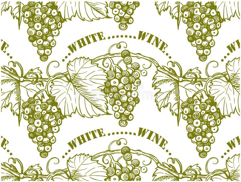 Sketch Hand Drawn White Wine Pattern with Green Grapes and Leaves on ...