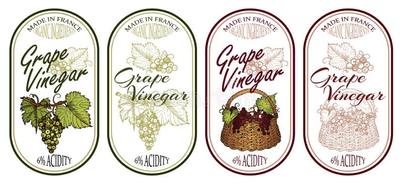 Vinegar Label Stock Illustrations – 740 Vinegar Label Stock ...