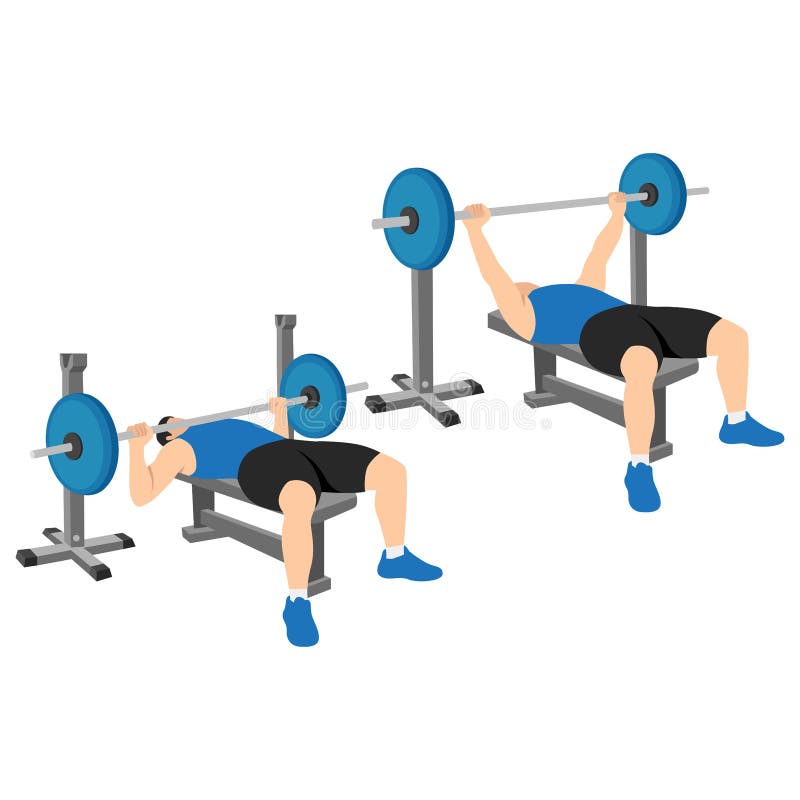 Chest Press Vector Stock Illustrations – 838 Chest Press Vector Stock ...