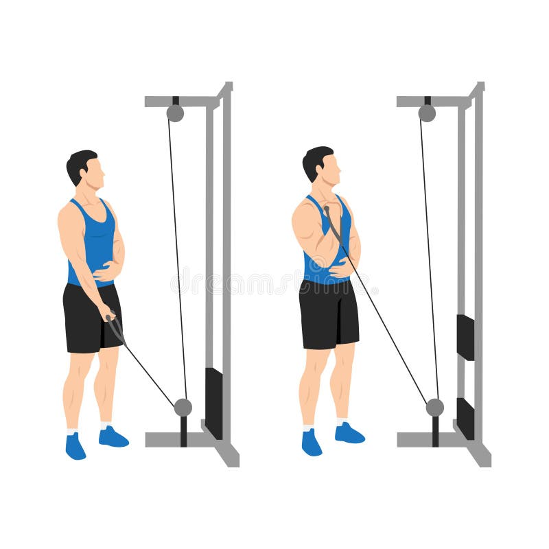 Bicep Cable Curl Stock Illustrations – 24 Bicep Cable Curl Stock ...