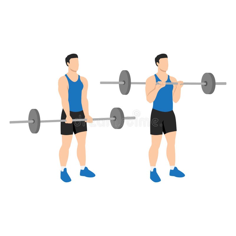 Man Doing Reverse Barbell Curl. Flat Vector Stock Vector - Illustration ...