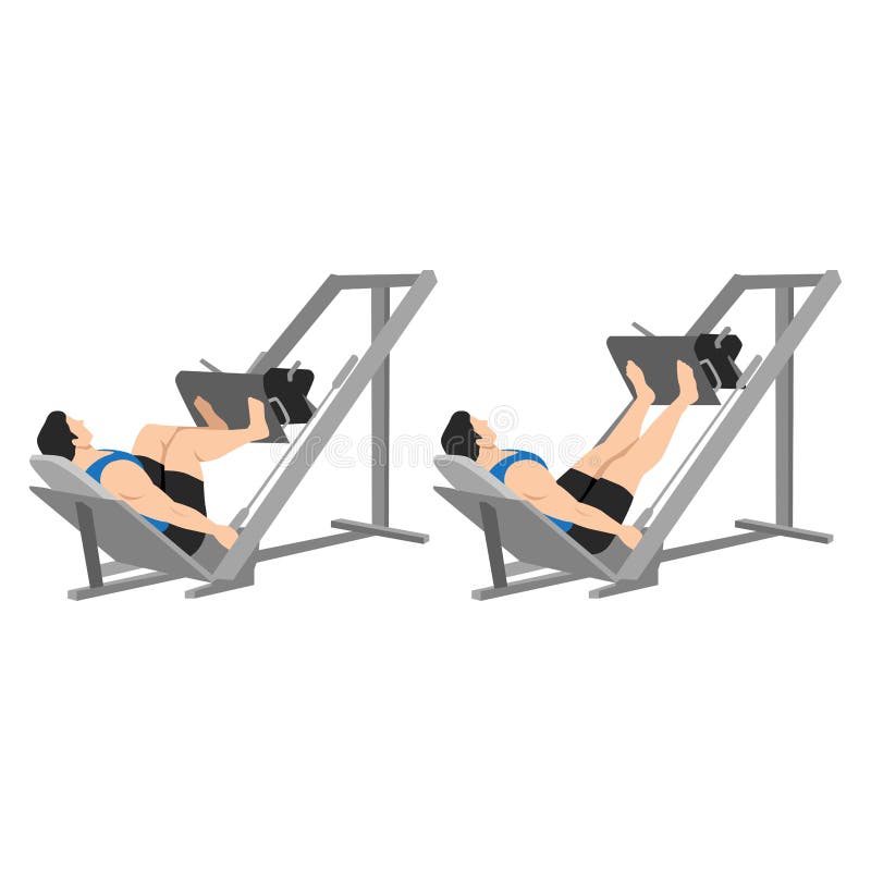 Calf Press Leg Press Machine Stock Illustrations – 54 Calf Press Leg ...