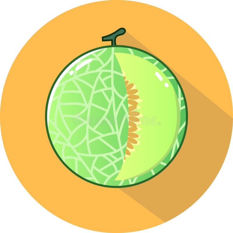 Melon Flat Vector Illustration, Tropical Fruit, Delicious and Juicy ...