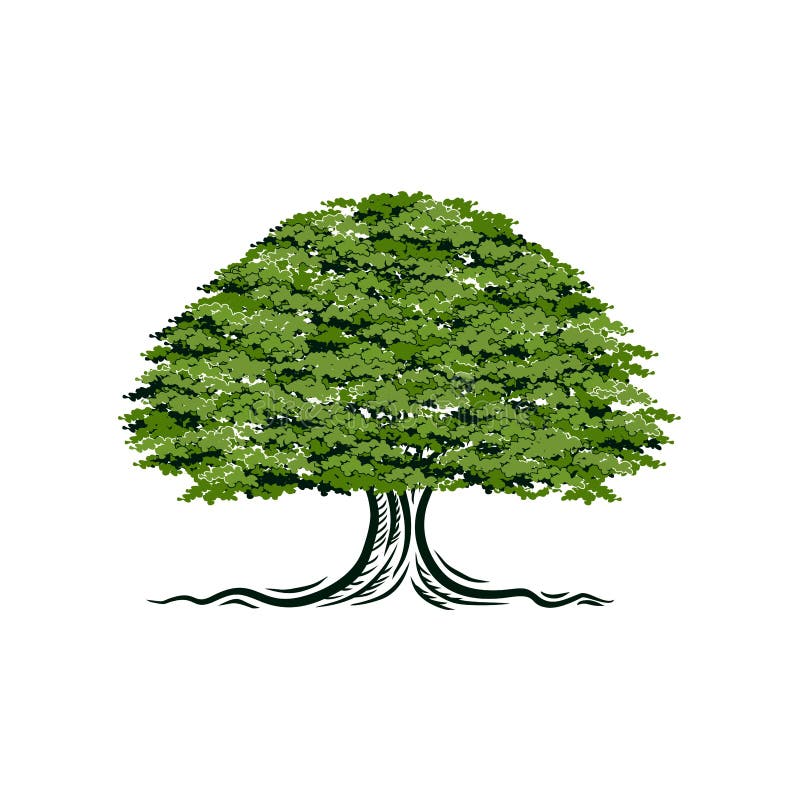 Banyan Tree Logo Design Vector. Stock Vector - Illustration of plant ...