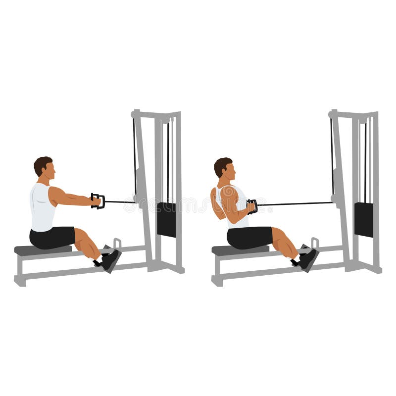 Seated Cable Row Stock Illustrations – 23 Seated Cable Row Stock ...