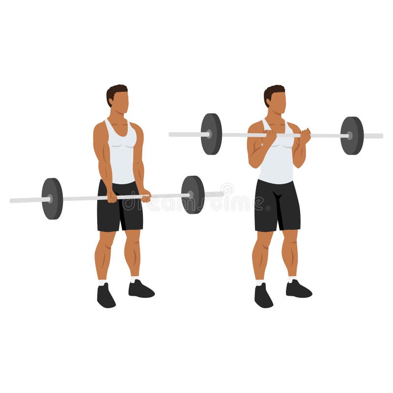 Man Doing Barbell Curl. Flat Vector Illustration Stock Illustration ...