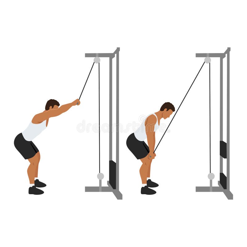 Man Doing Cable Tricep Pull Down Exercise Stock Illustrations – 14 Man ...