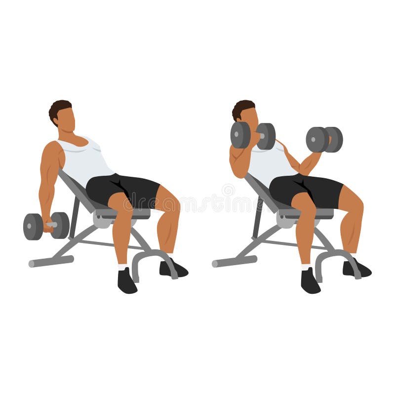 Man Doing Incline Dumbbell Curl. Flat Vector Stock Illustration ...