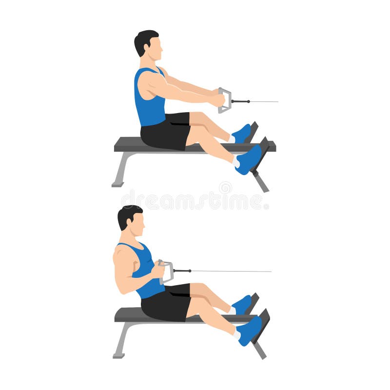 Man Doing Seated Low Cable Back Rows Exercise. Flat Vector Stock Vector ...