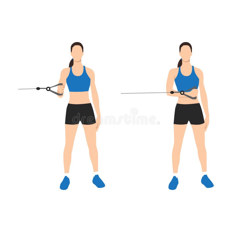 Shoulder Rotation Exercise Stock Illustrations – 67 Shoulder Rotation ...