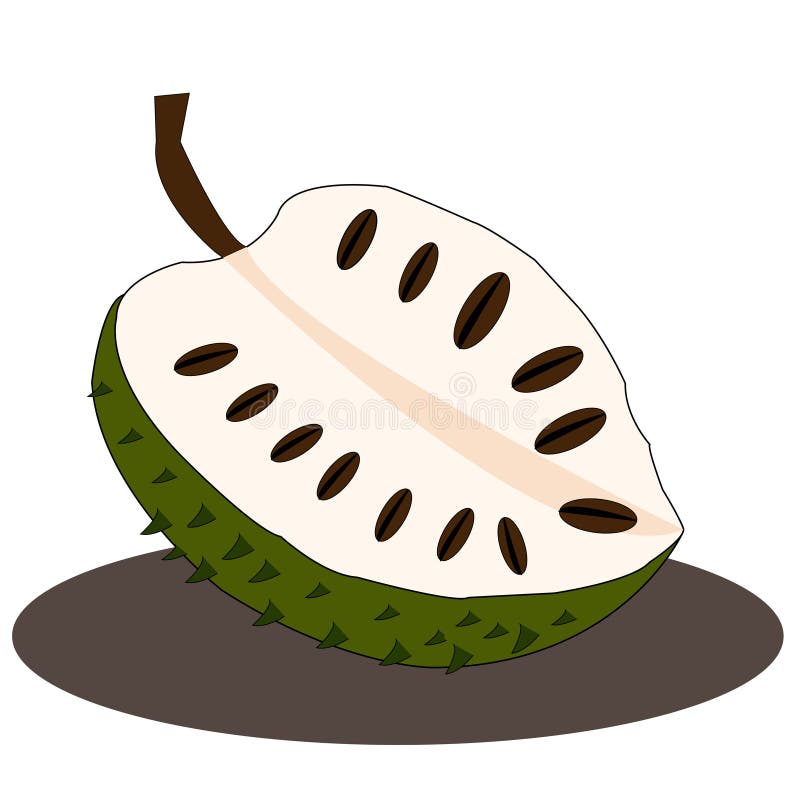 Soursop Drink Stock Illustrations – 38 Soursop Drink Stock Illustrations, Vectors & Clipart ...