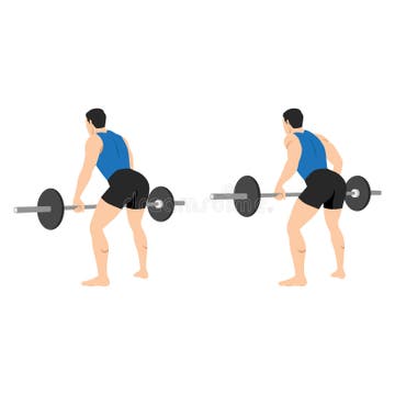Barbell Bent Over Rows Stock Illustrations – 35 Barbell Bent Over Rows ...