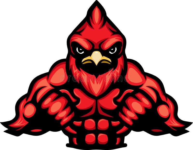 Strong Cartoon Red Cardinal Mascot Stock Vector - Illustration of ...