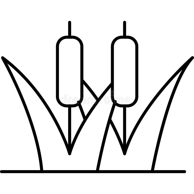 Reeds Which Can Easily Edit or Modify Stock Vector - Illustration of ...