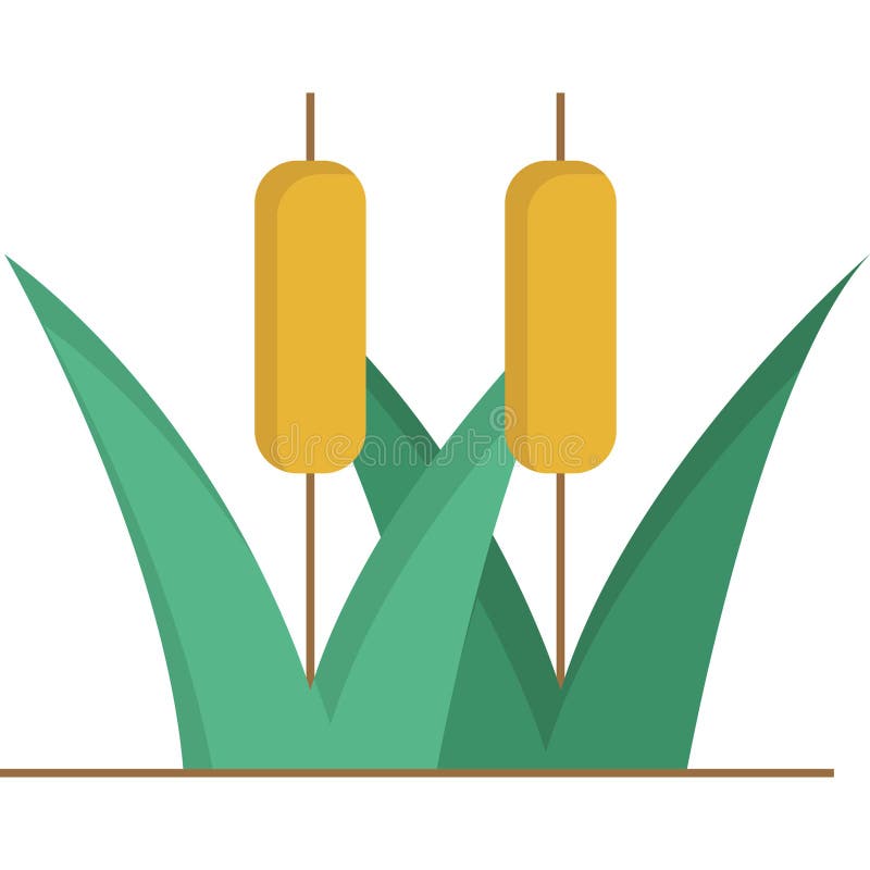 Reeds Which Can Easily Edit or Modify Stock Vector - Illustration of ...
