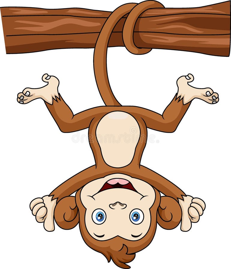 Cute Monkey Cartoon Hanging in Tree Branch Stock Vector - Illustration ...