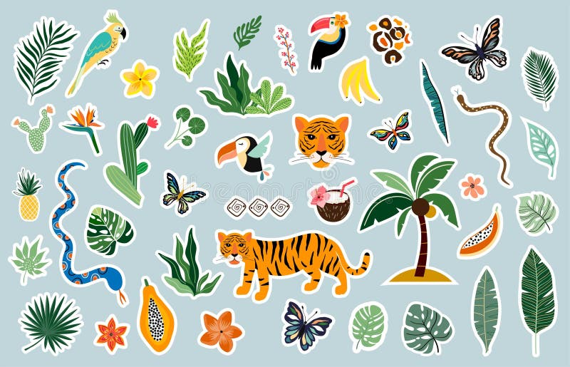 Summer Tropical Stickers Collection, Different Exotic Elements, Vector ...