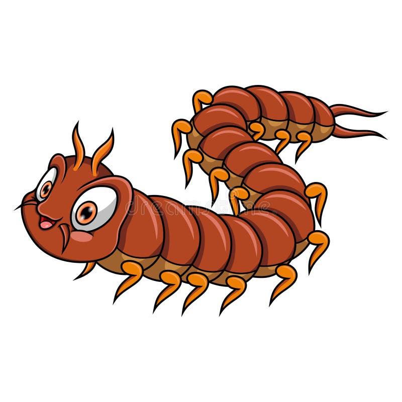 Cartoon Centipede Funny Stock Illustrations – 633 Cartoon Centipede ...