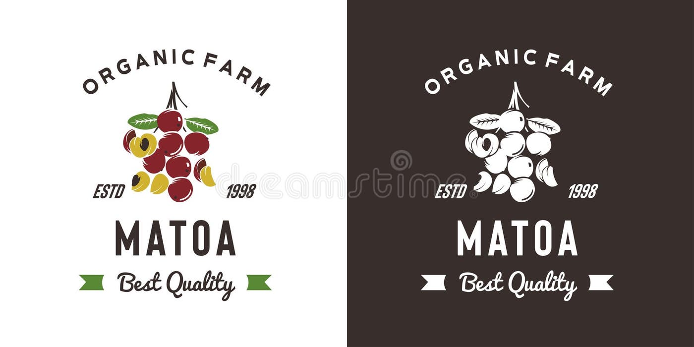 Matoa Logo Stock Illustrations – 1 Matoa Logo Stock Illustrations ...