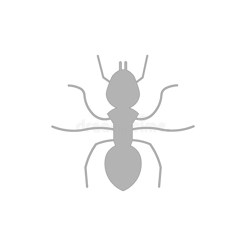 Icon Vector Stock Ant Animals Template Design RGB Stock Illustration ...
