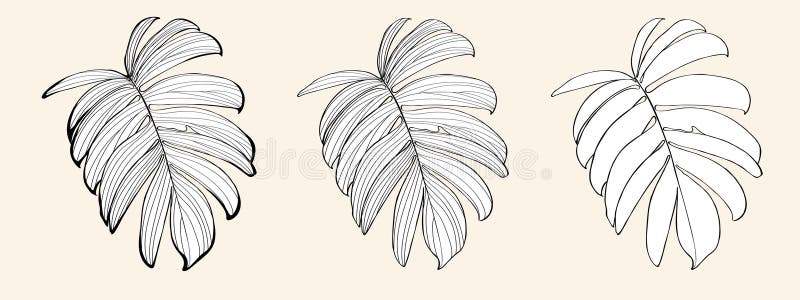 Exotic Line Leaf Sketch by Hand Drawing. Leaf Art Highly Detailed in ...