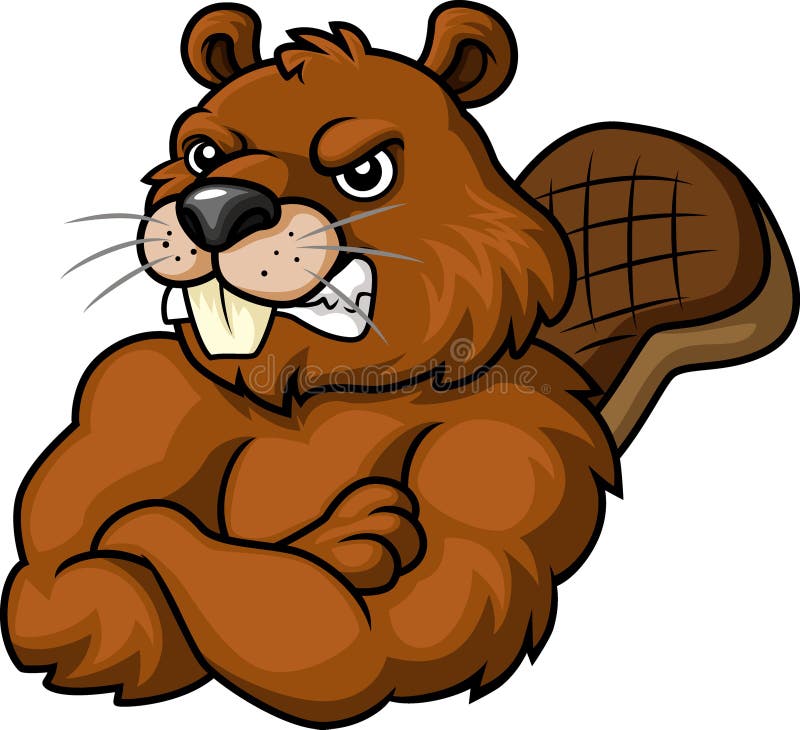 Angry Beaver Cartoon on White Background Stock Vector - Illustration of ...