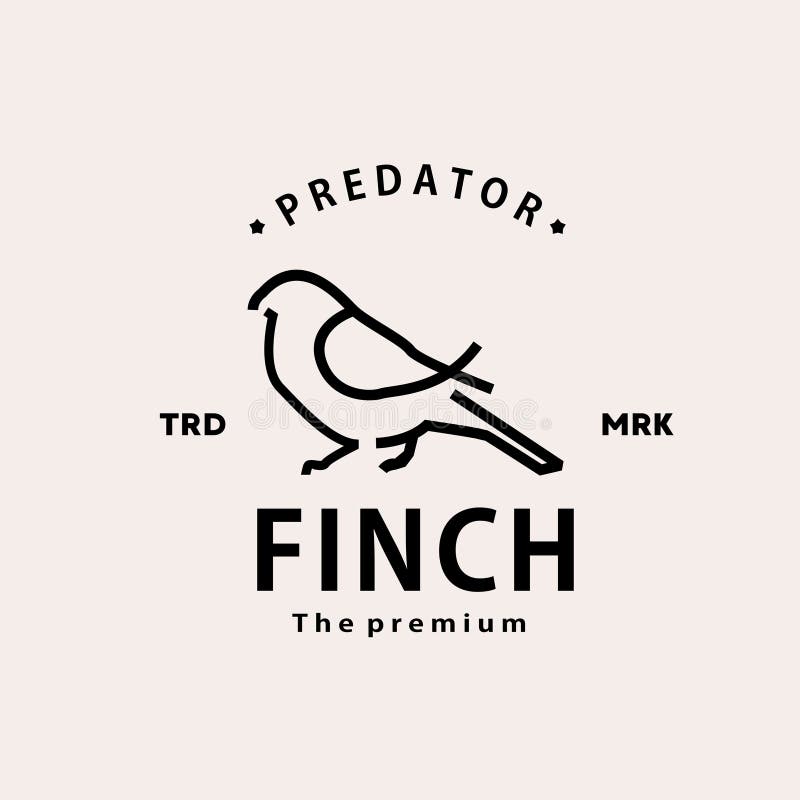 Vintage Retro Hipster Finch Logo Stock Vector - Illustration of idea ...
