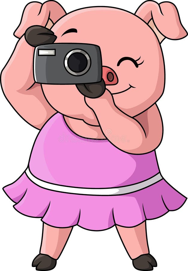 Cute Pig Cartoon with Camera on White Background Stock Vector ...