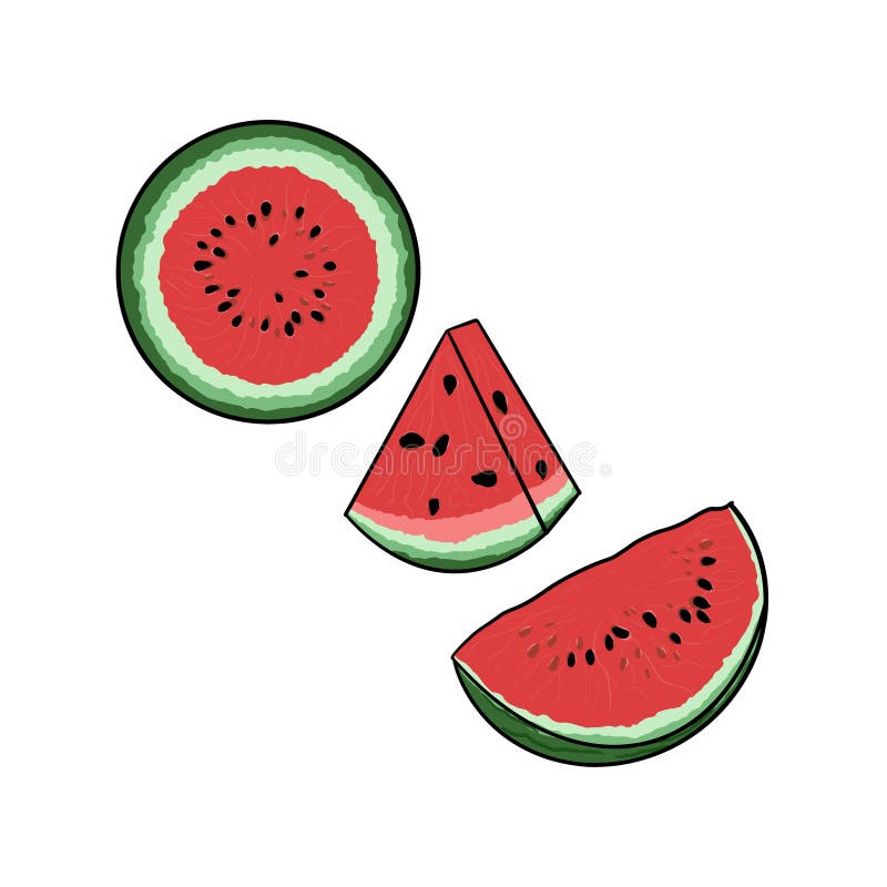 Watermelon Half, Slices and Triangles. Stock Vector - Illustration of ...