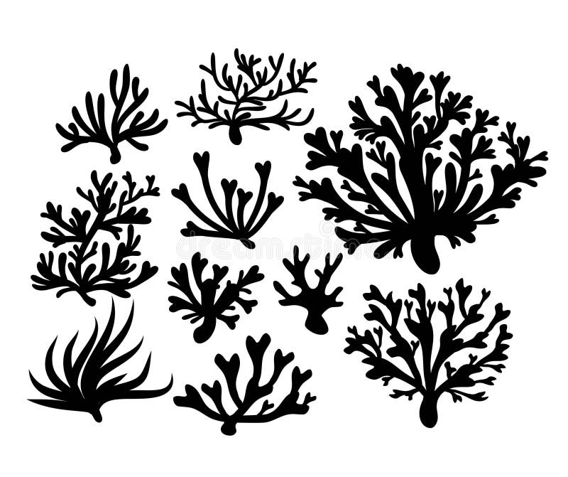 Coral Vector Set Illustration, Icon Set Stock Vector - Illustration of ...