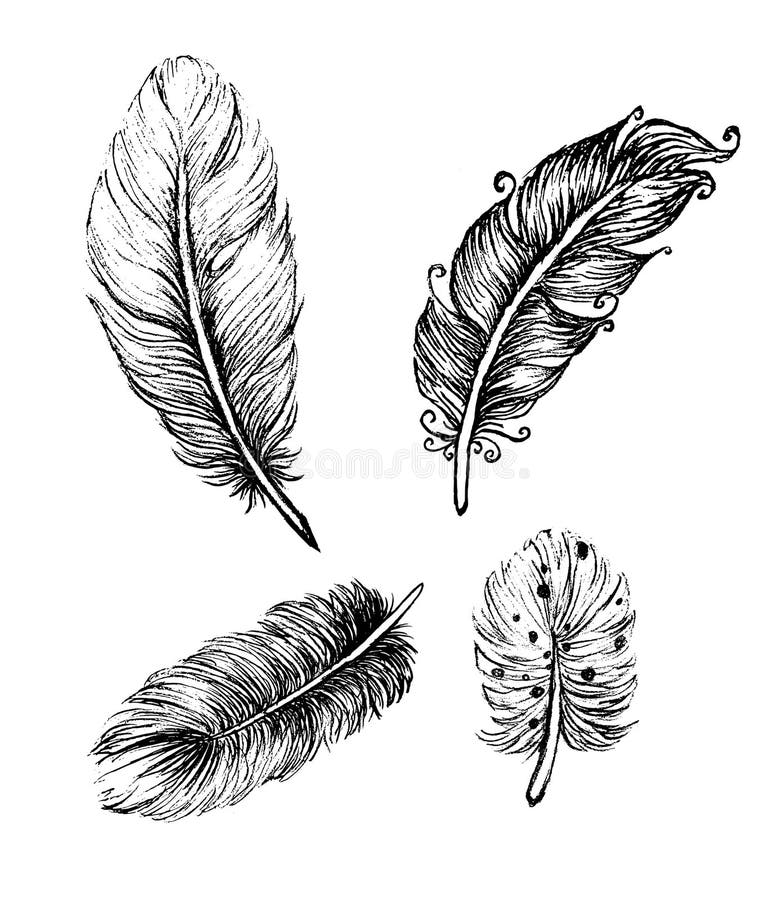 Beautiful Hand Drawn Deather Vector Stock Vector - Illustration of ...