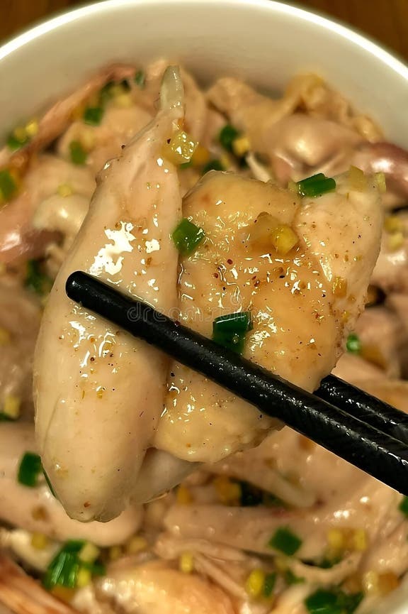 Delicious and Savory Chicken Pek Cam Kee Food Stock Photo - Image of ...