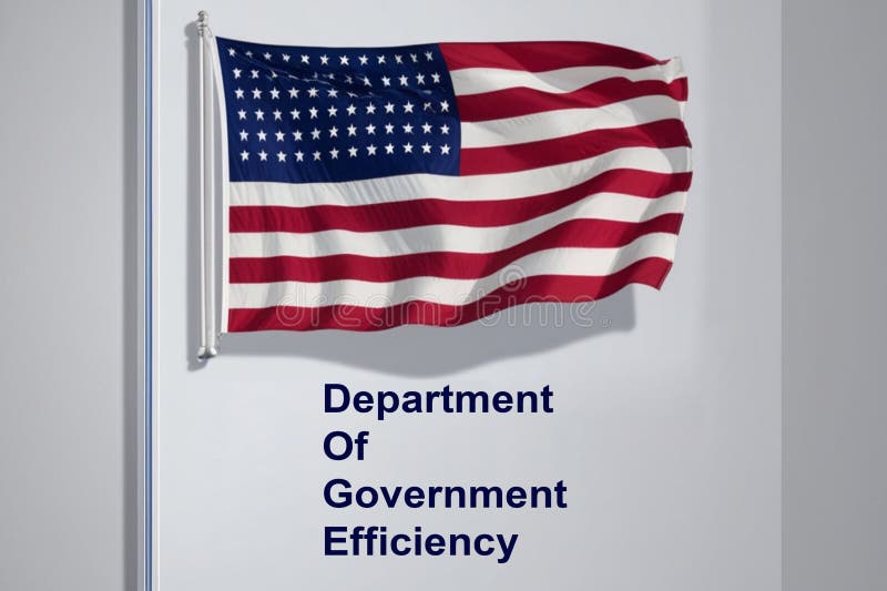 American Flag Poster with the Words Department of Government Efficiency ...