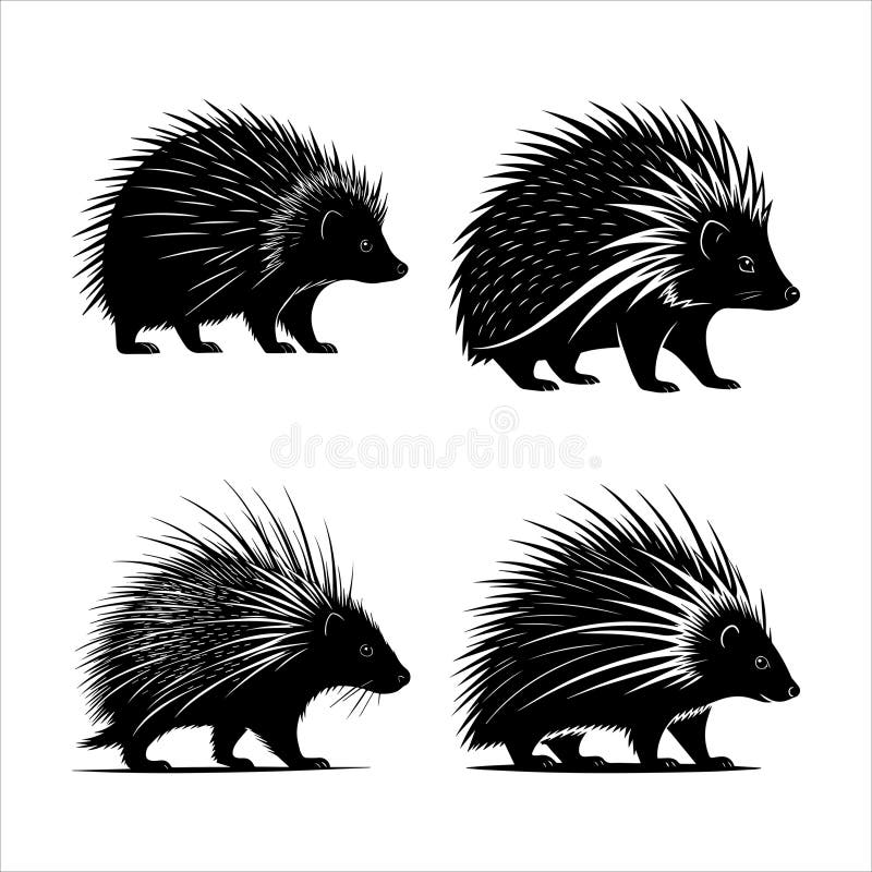 Porcupine with Quills Silhouette in Black Color Simple and Clean Vector ...