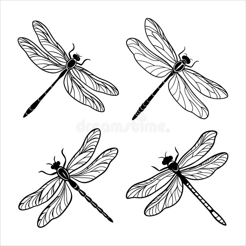 Dragonfly with Detailed Wings Silhouettes Stock Vector - Illustration ...