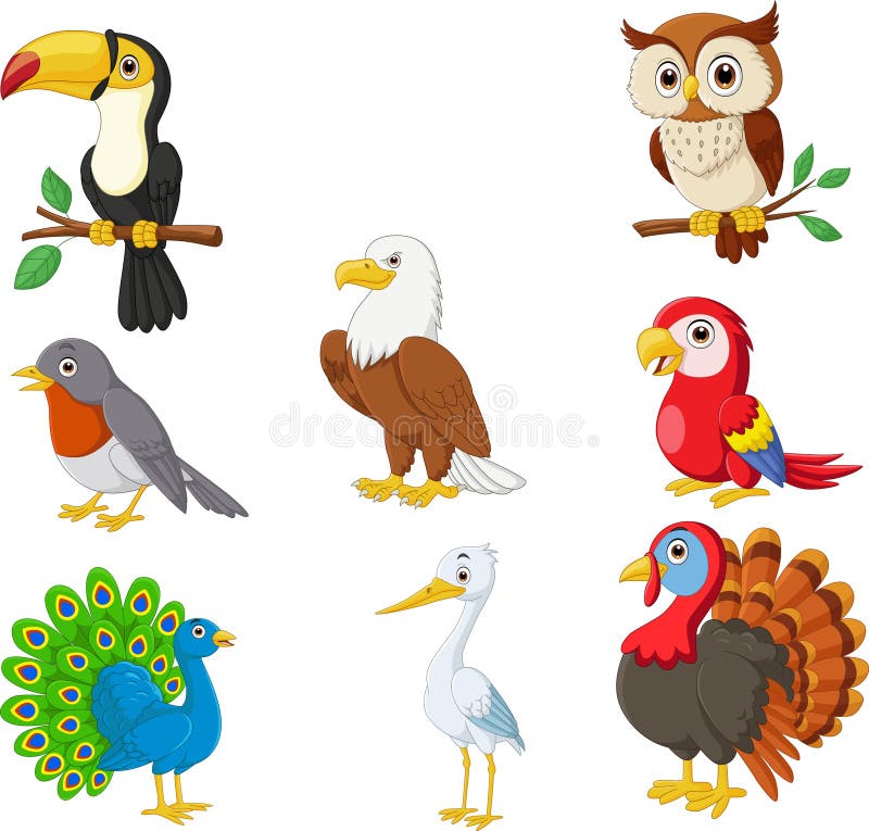 Illustration of Cartoon Bird Collection Set Stock Vector - Illustration ...