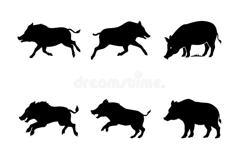 Wild Boar Silhouette Set Vector Illustrations Stock Vector ...