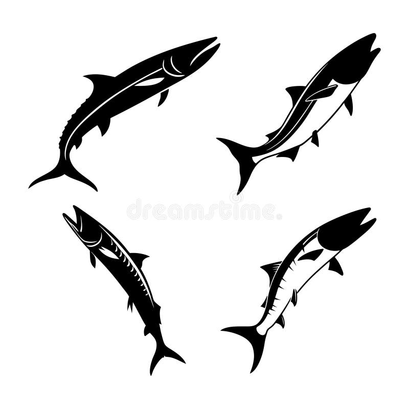 Barracuda Fish Silhouettes Set in Black Color Simple and Clean Vector ...
