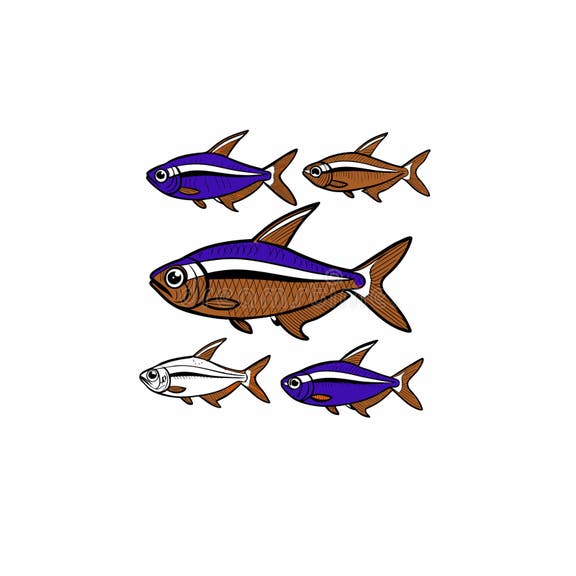 This Image Features a Beautifully Illustrated Group of Tetra Fish ...