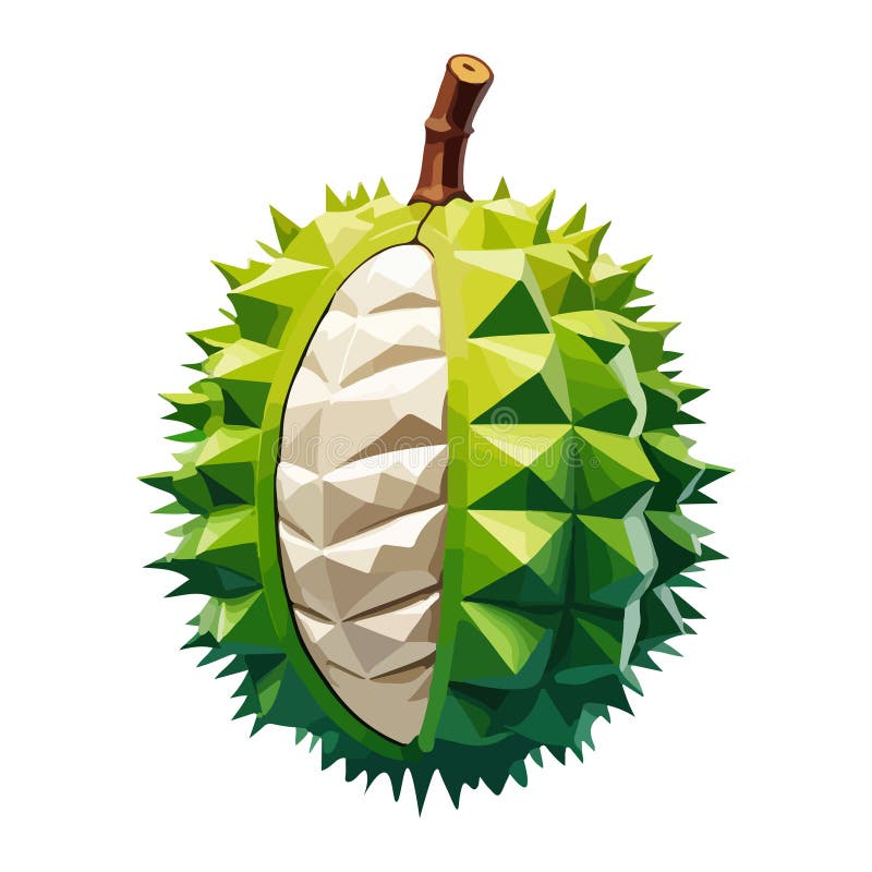 A Vector Icon of Durian Fruit Image Stock Illustration - Illustration ...