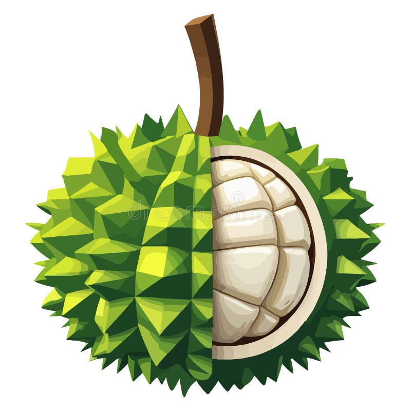 A Vector Icon of Durian Fruit Image Stock Illustration - Illustration ...