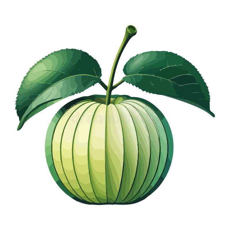 A Vector Icon of Guava Fruit Image Stock Illustration - Illustration of ...