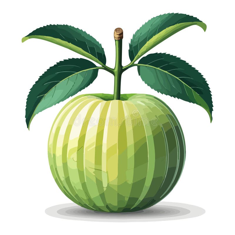 A Vector Icon of Guava Fruit Image Stock Illustration - Illustration of ...