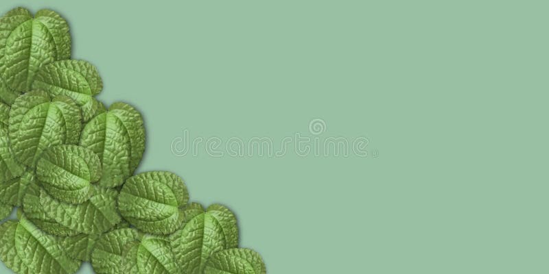 Textured Green Leaves Corner Frame on Solid Background Stock Vector ...